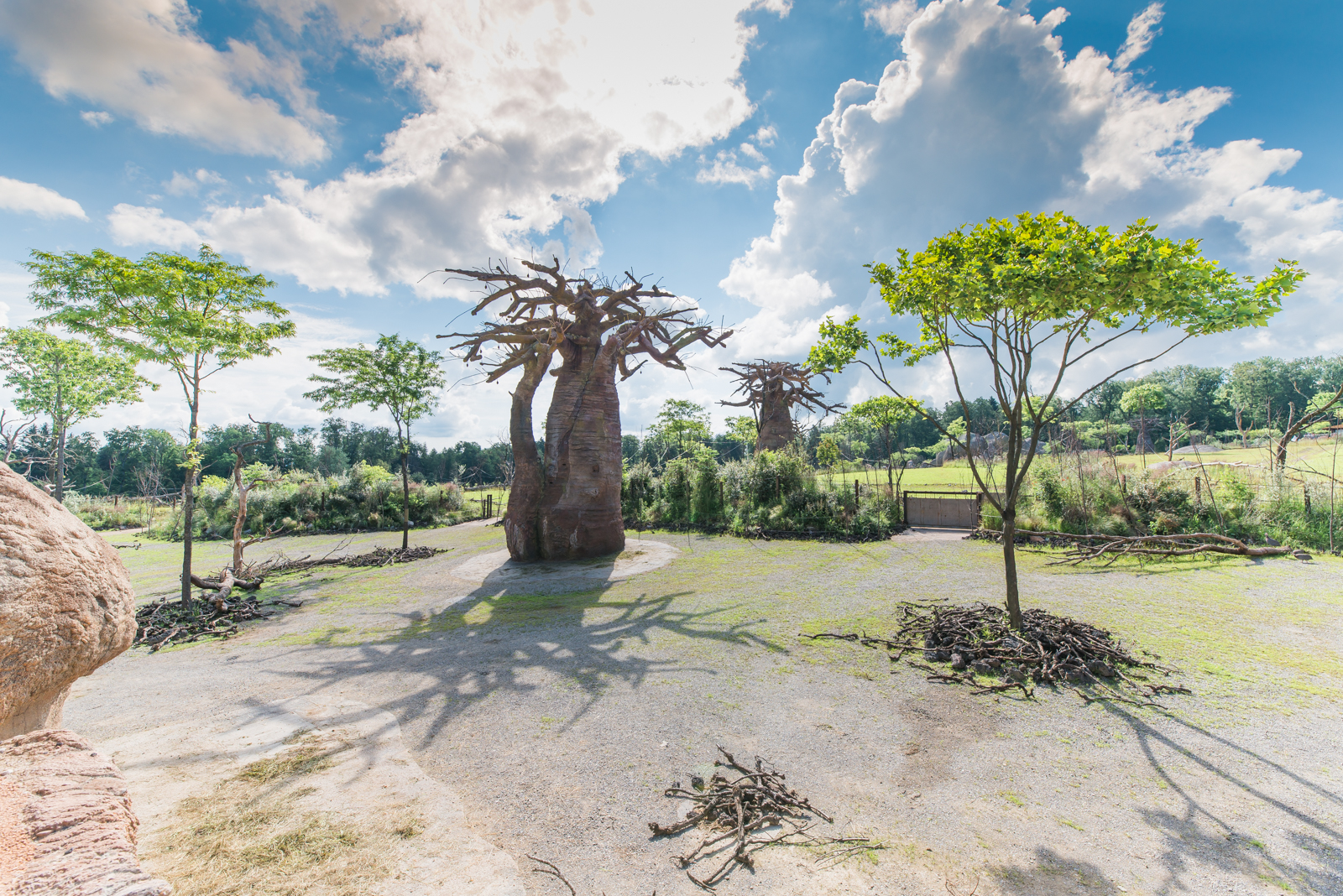 The savanna next door | artborghi.com